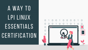 Want a fulfilling IT career? Obtain LPI Linux Essentials Certification