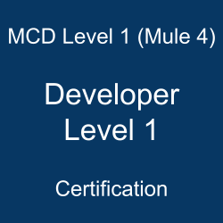 MCD Level 1 (Mule 4) Exam to Rise & Shine as MuleSoft Certified ...
